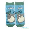 My Neighbor Totoro Socks 7 Colors New 2023 | Ghibli Merch Store